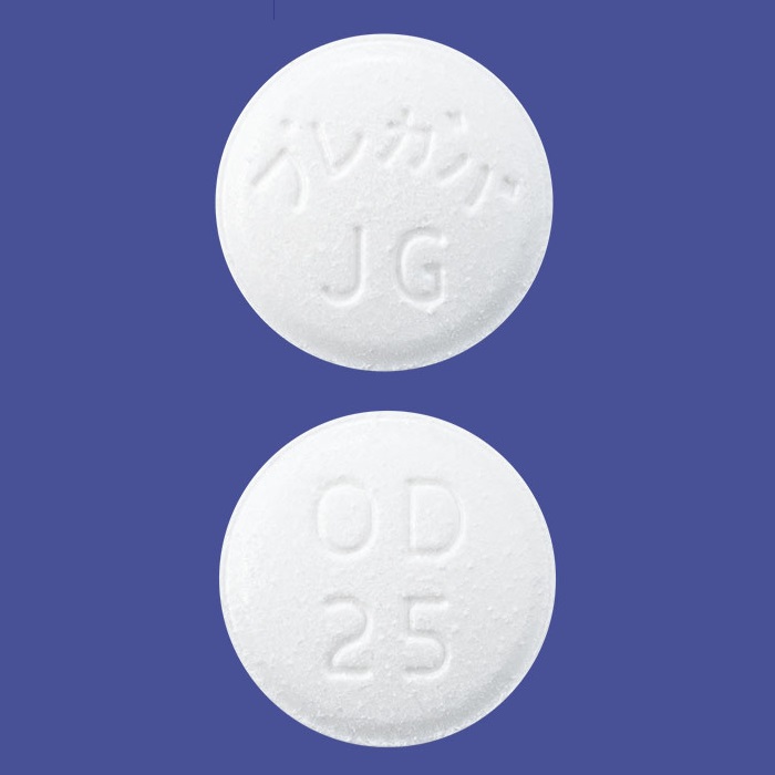 プレガバリンOD錠25mg「JG」 ｜ 製品検索 ｜ 日本ジェネリック株式会社
